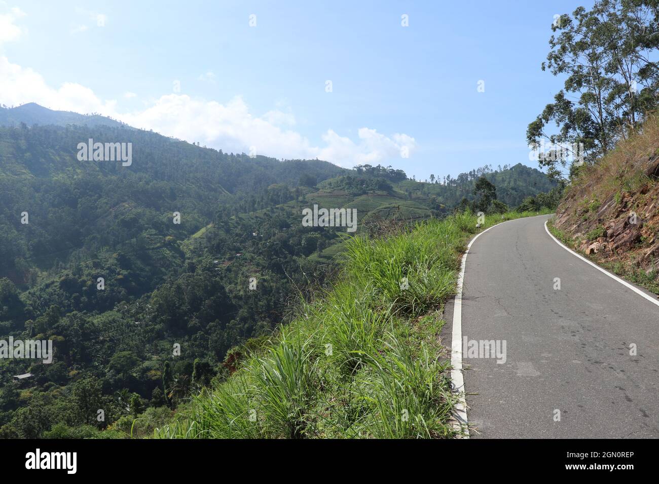 Mountains range slopes road forest hi-res stock photography and images ...