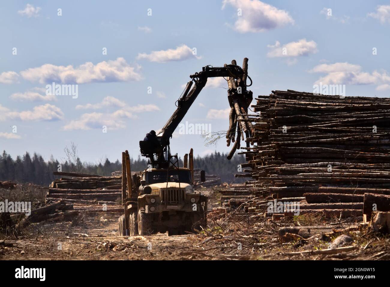 Forest industry. Operations for loading-unloading logging truck at ...