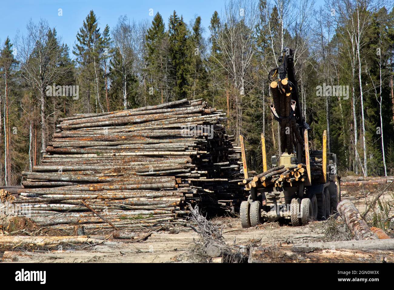 Forest industry. Operations for loading-unloading logging truck at ...