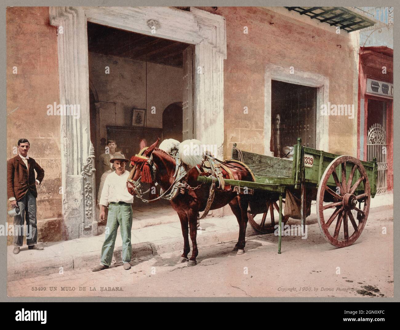 Un mulo de la Habana, mule cart and muleteer c. 1900 on a street in ...