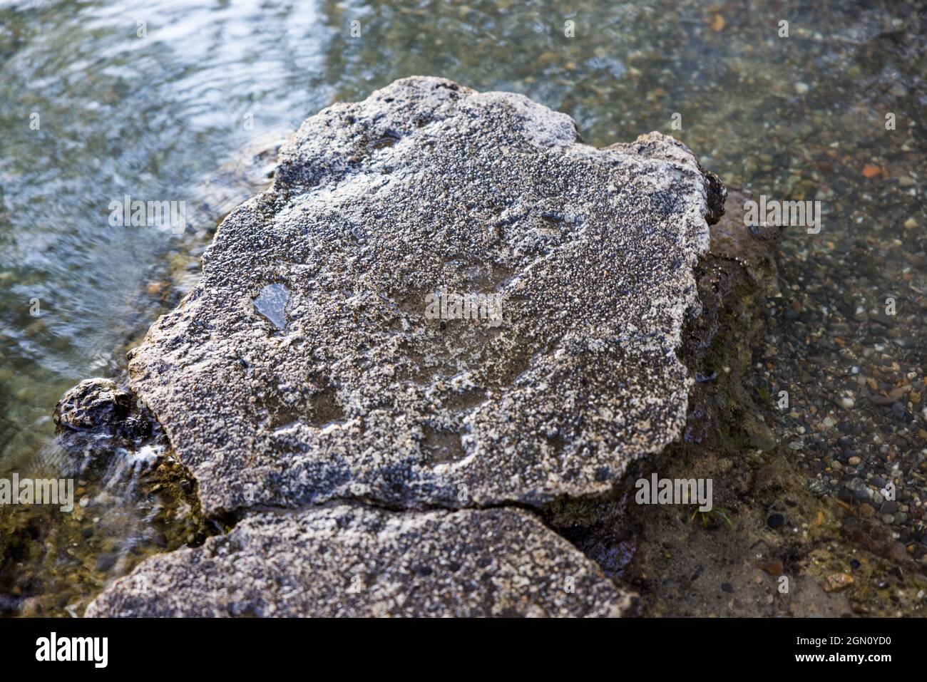 Closeup of stones on the shore Stock Photo - Alamy