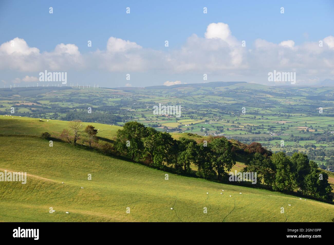 Rolling hillsides and the vale of Clwyd viewed from Offa's dyke trail ...
