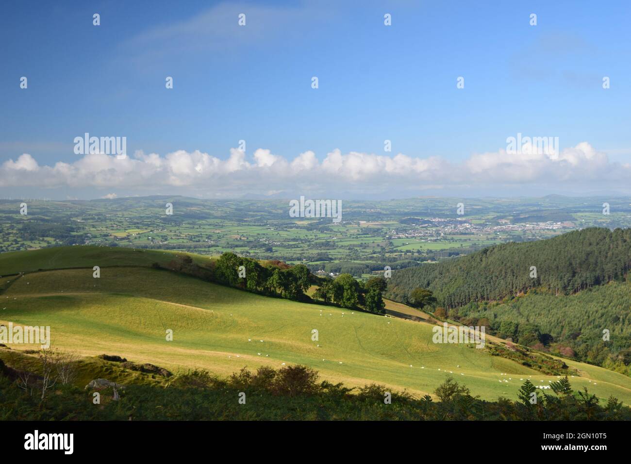 Rolling hillsides and the vale of Clwyd viewed from Offa's dyke trail ...
