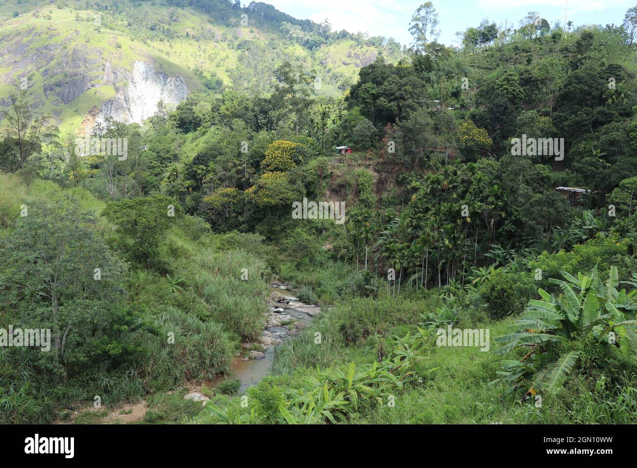 Beautiful mountain river flowing through hi-res stock photography and ...
