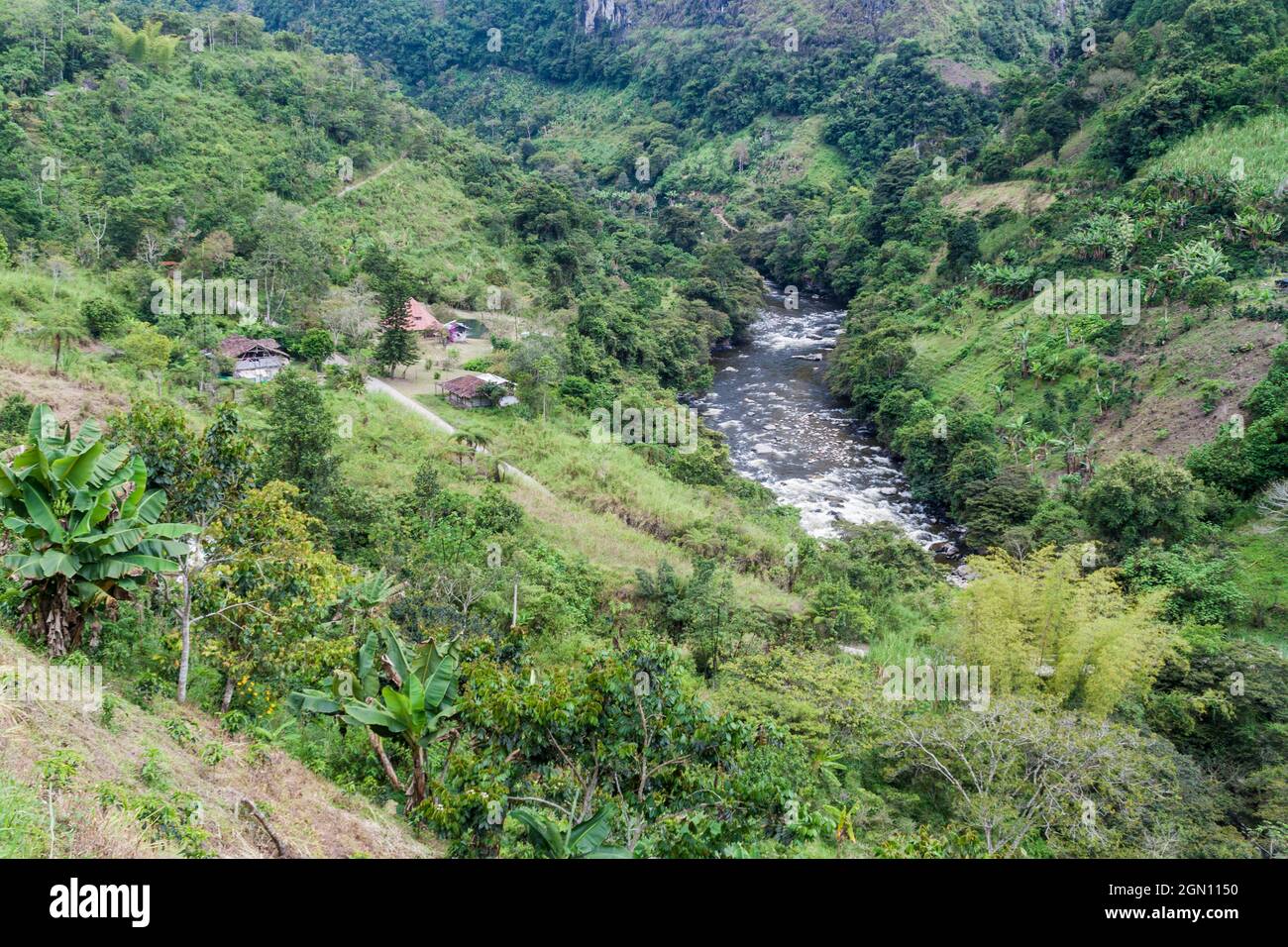 Valley of Magdalena river in Colombia Stock Photo - Alamy