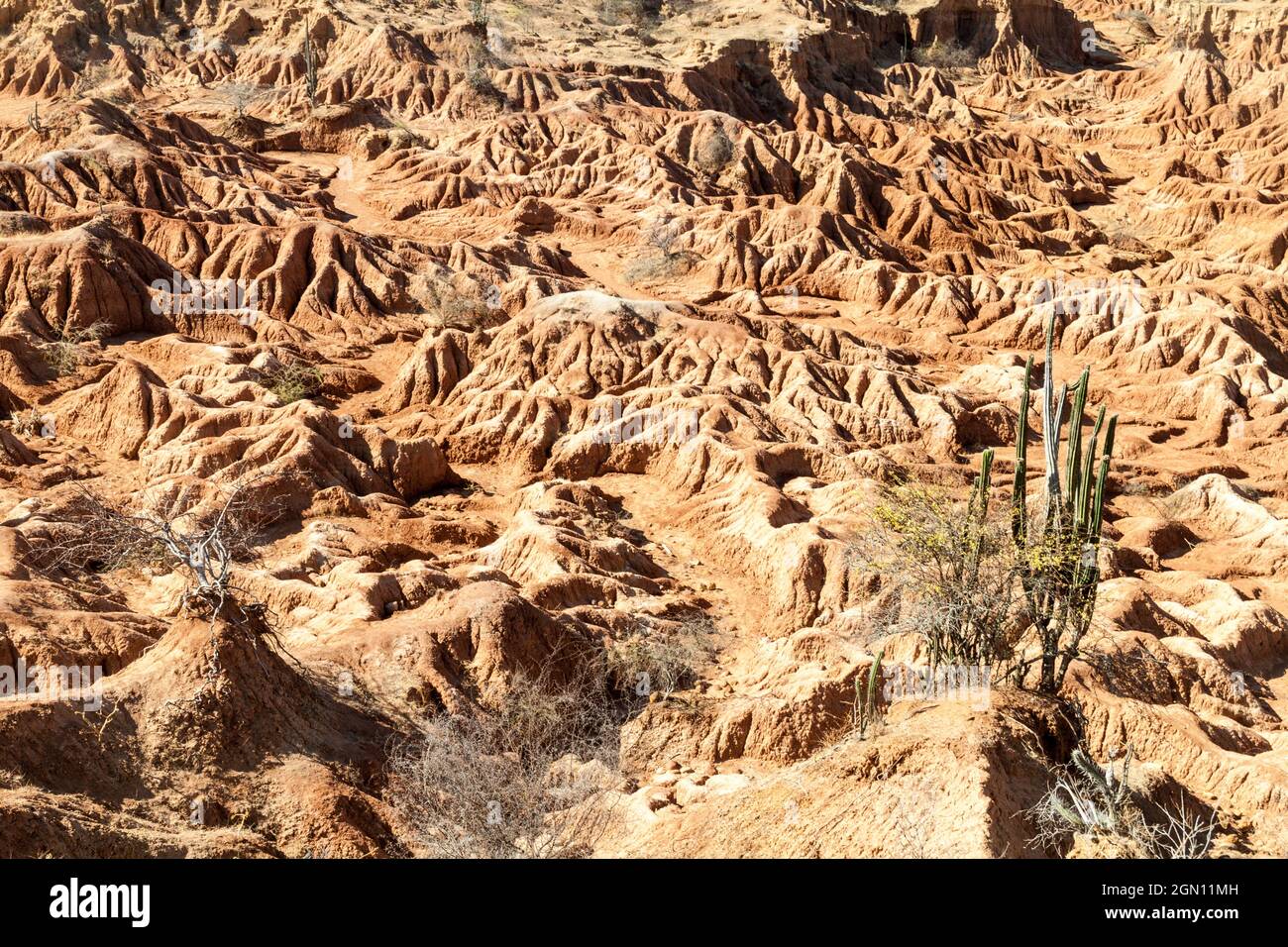 Orange rock formations in Tatacoa desert, Colombia Stock Photo - Alamy