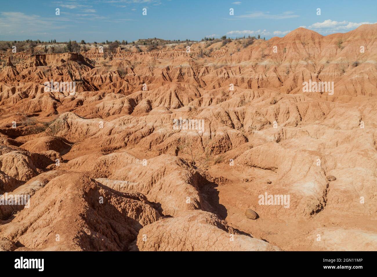 Orange rock formations in Tatacoa desert, Colombia Stock Photo - Alamy