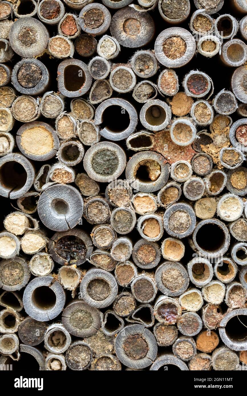 Cylinder cylinders hi-res stock photography and images - Alamy