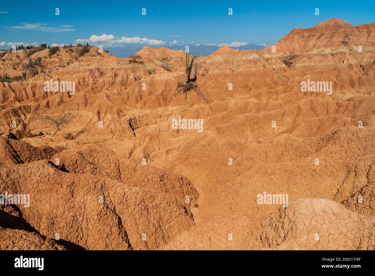 Orange rock formations in Tatacoa desert, Colombia Stock Photo - Alamy
