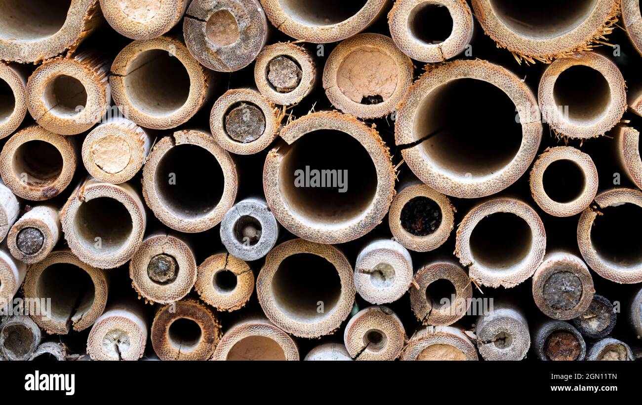 Wooden Cylinder Patterns - North Carolina, USA Stock Photo - Alamy