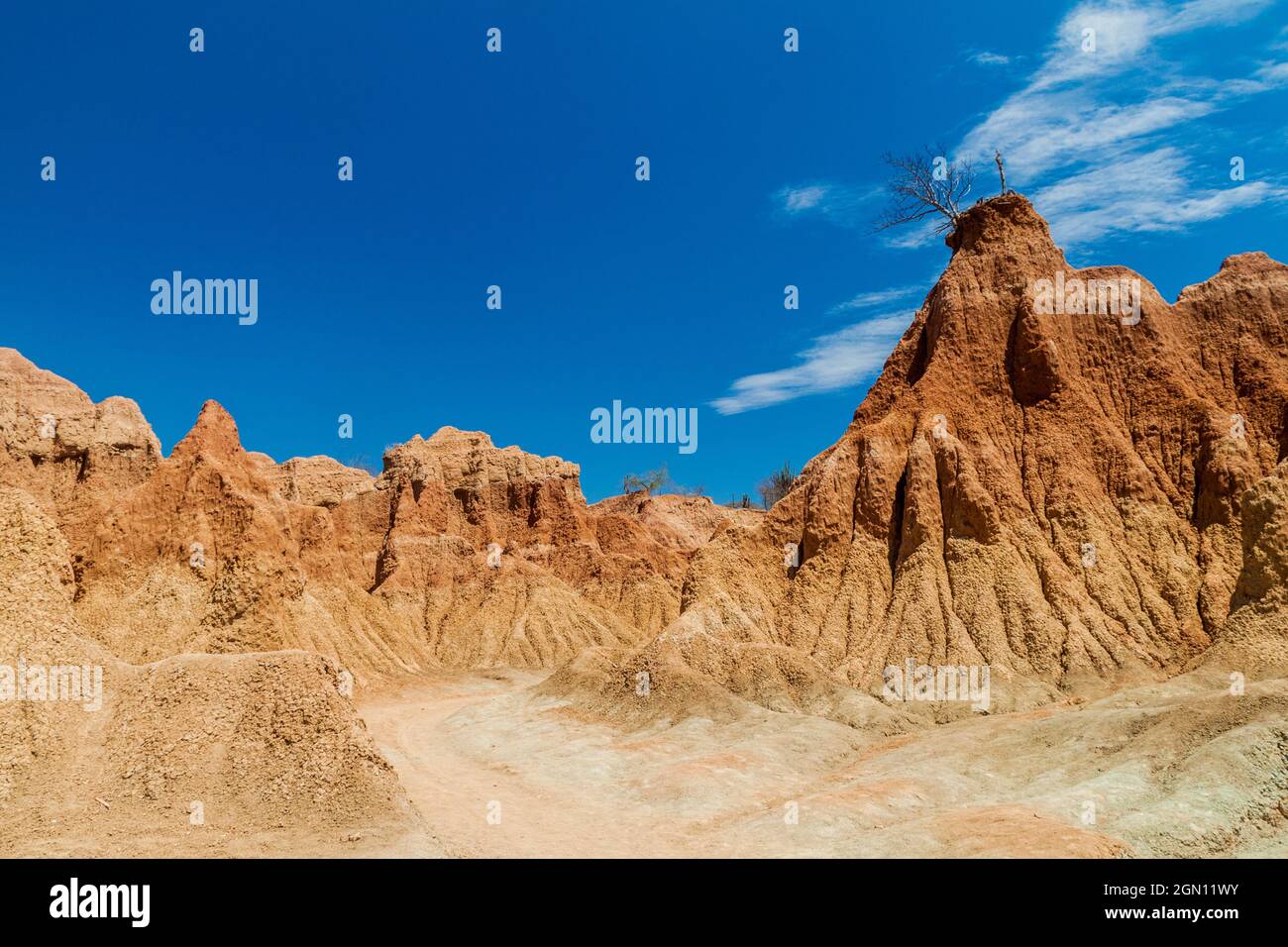 Orange rock formations of Tatacoa desert, Colombia Stock Photo - Alamy
