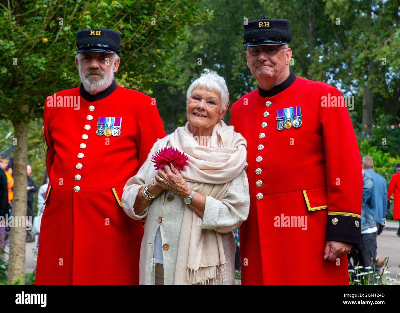 Dame judi dench red rose hi-res stock photography and images - Alamy