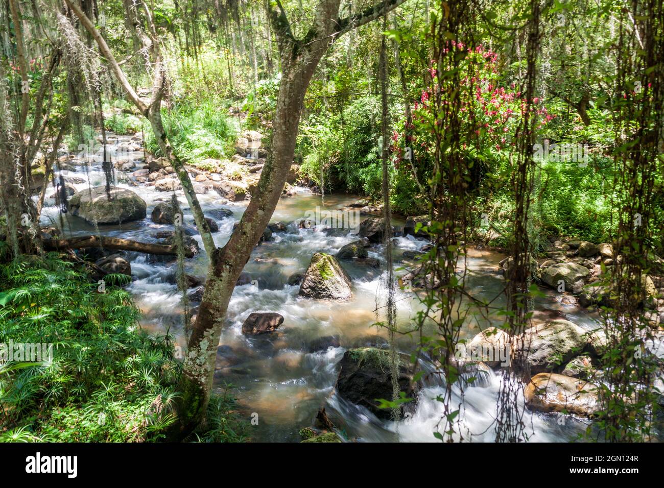 River in El Gallineral park in San Gil, Colombia Stock Photo - Alamy