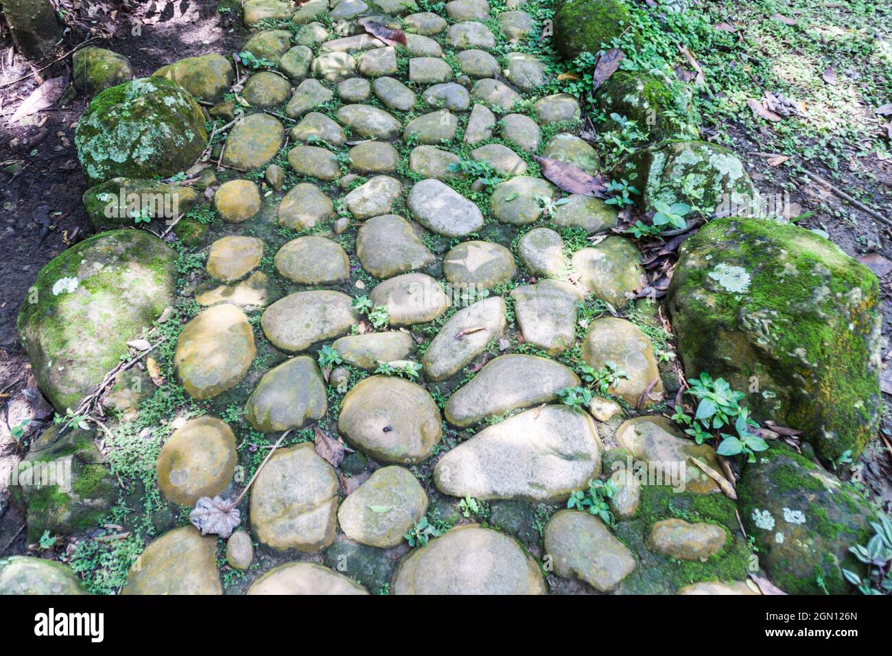 Detail of a path in El Gallineral park in San Gil, Colombia Stock Photo ...