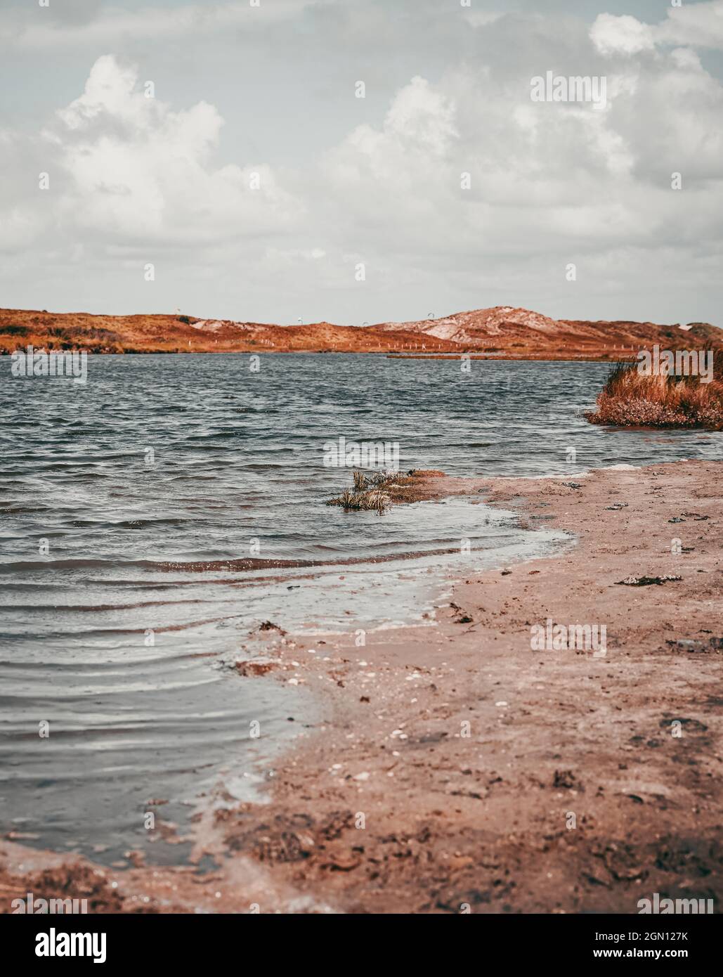 Big water puddle near the sea at Belgium and Netherlands boarder with ...