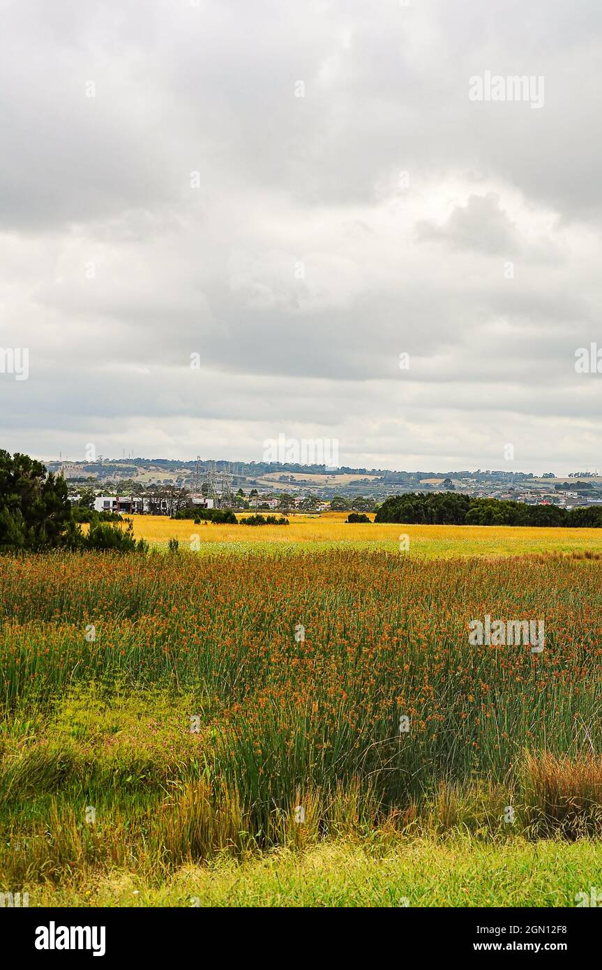 Walk along Hallam Main Drain. Victoria, Australia, January 1, 2014 ...