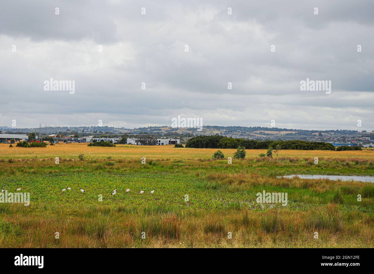 Victoria lines walk hi-res stock photography and images - Alamy