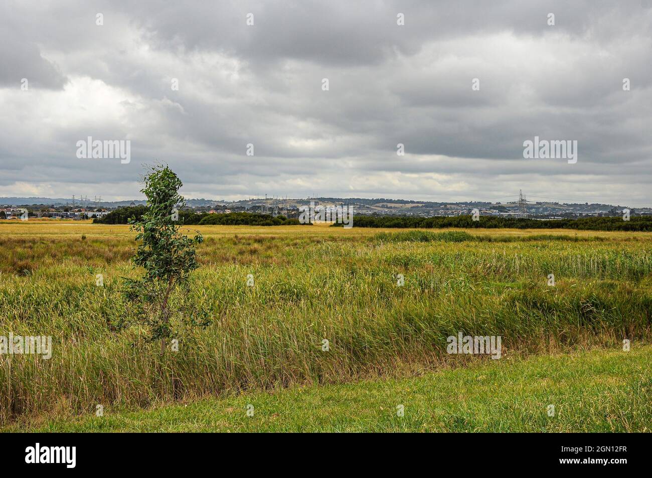 Victoria lines walk hi-res stock photography and images - Alamy
