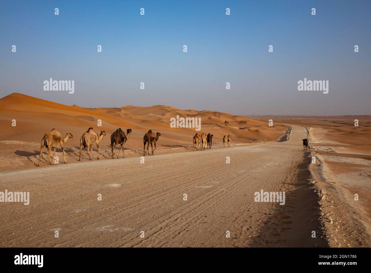 Al razeen hi-res stock photography and images - Alamy