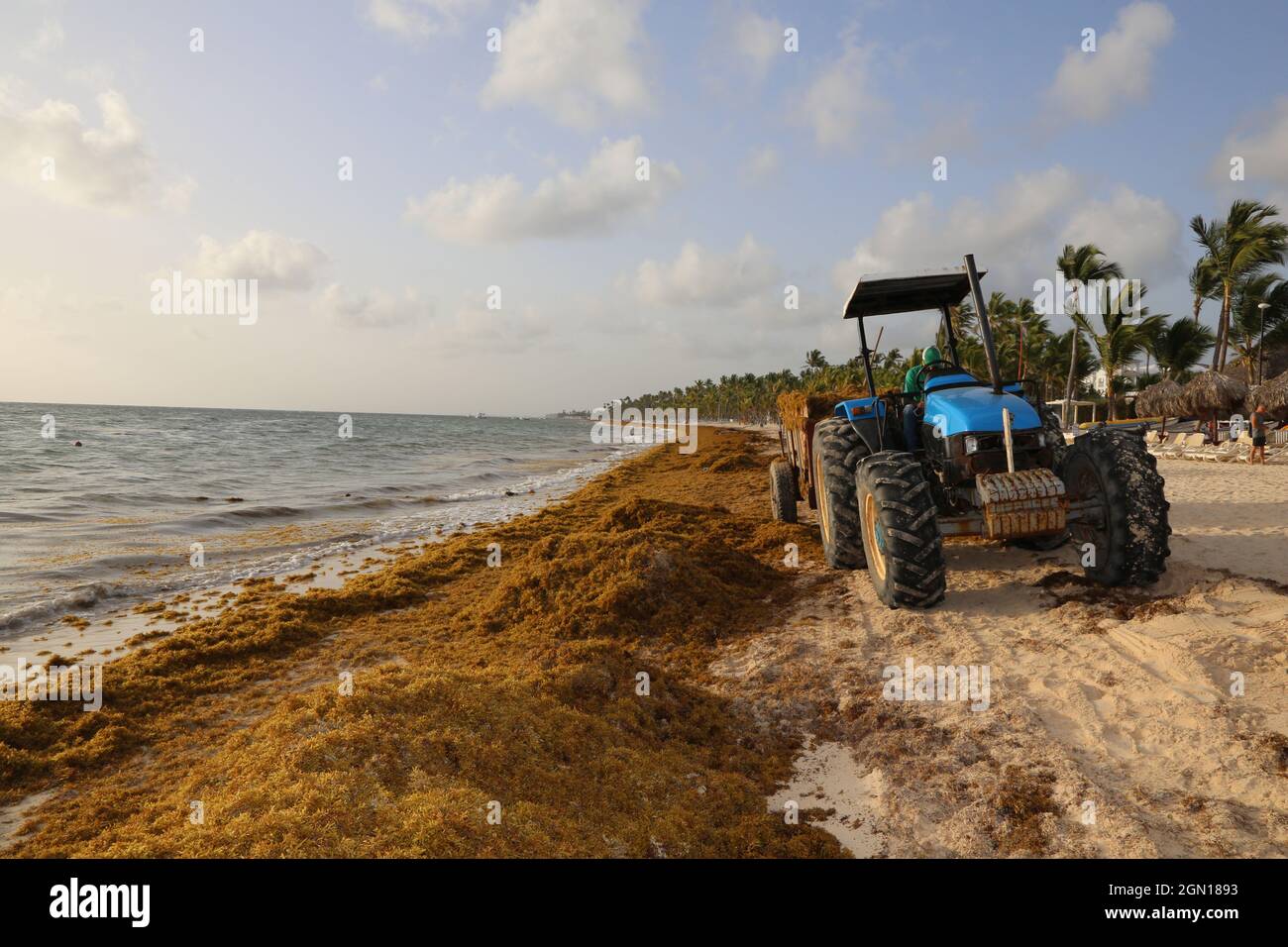 Tractor on the sandy beach under a sunset sky Stock Photo - Alamy