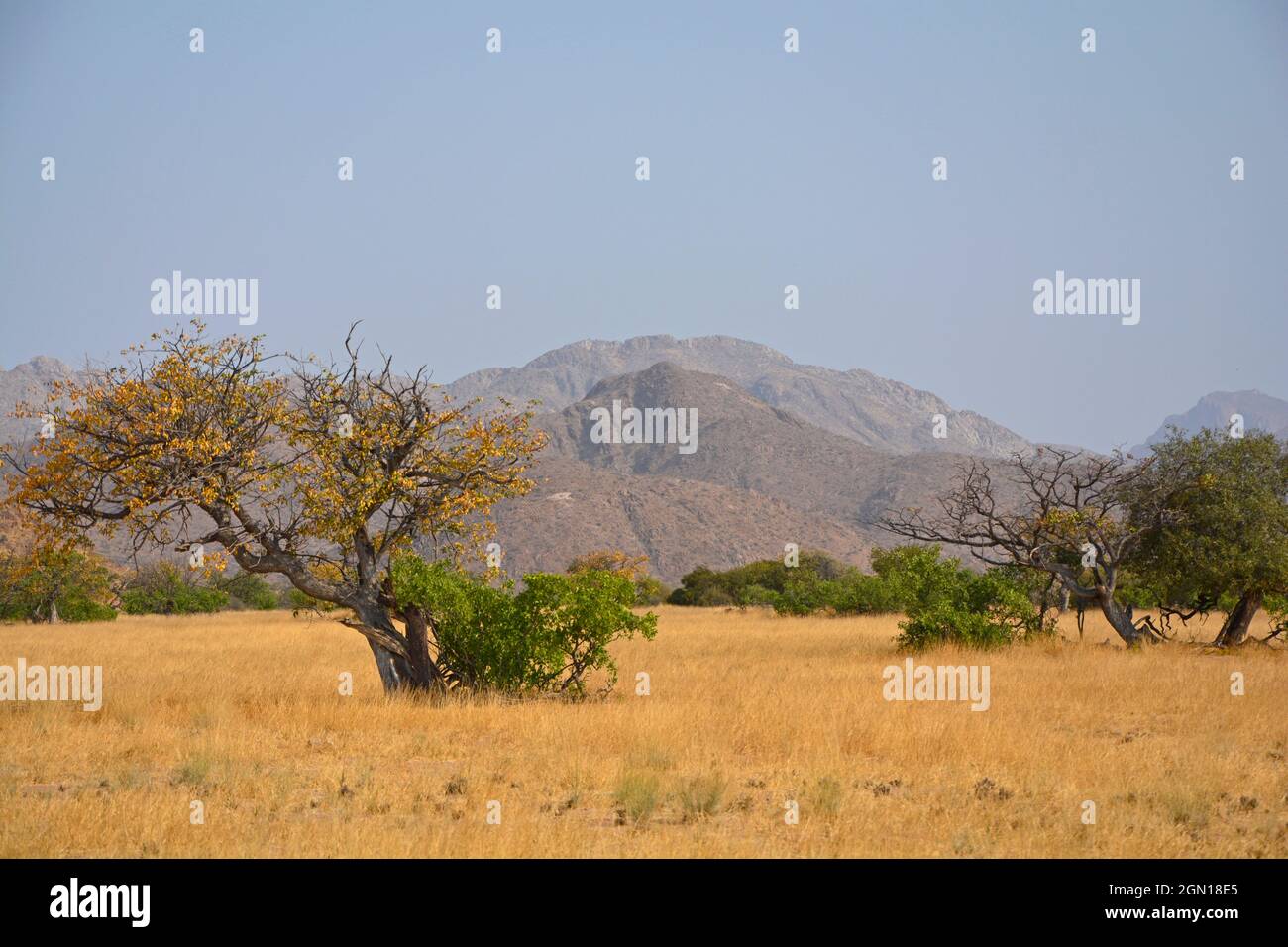 Angola; in the southern part of Namibe Province; Iona National Park ...