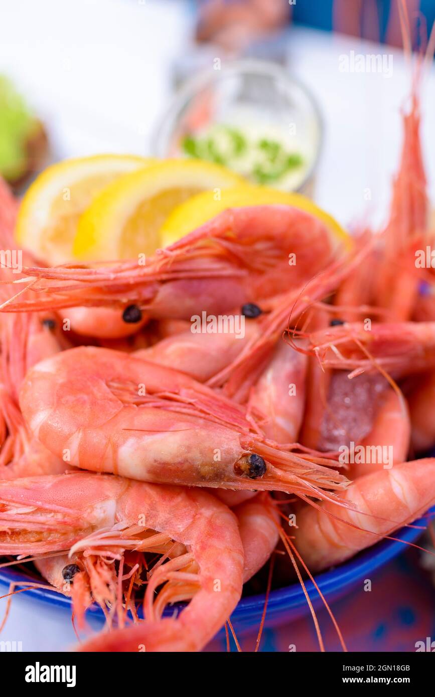 Fresh shellfish as a meal in the Ravnkloa fish hall, Trondheim, Norway ...