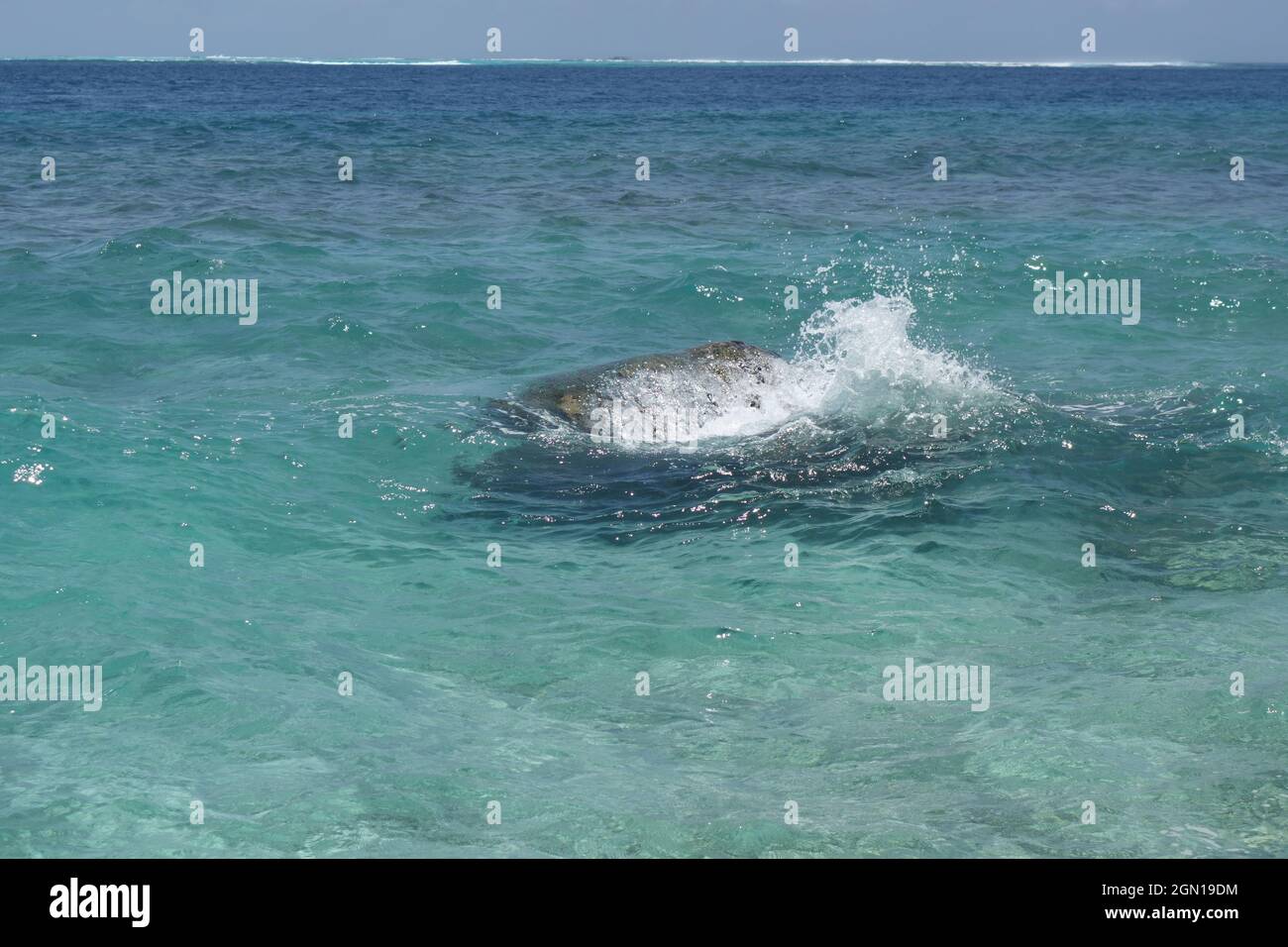 A rock surrounded by water in the indian ocean Stock Photo - Alamy