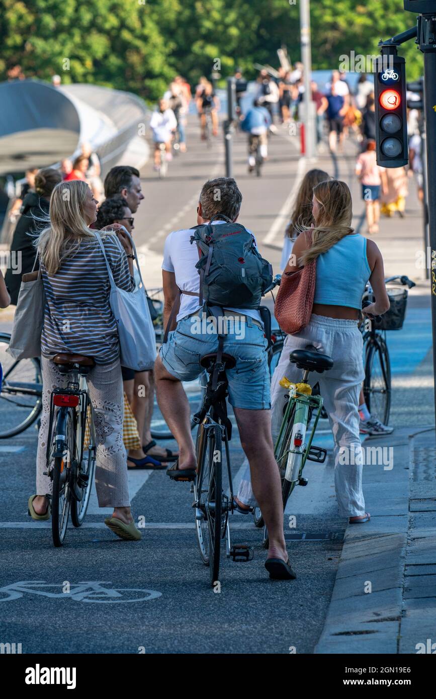 Cyclists on cycle paths, on Vester Voldgade Street, in downtown ...