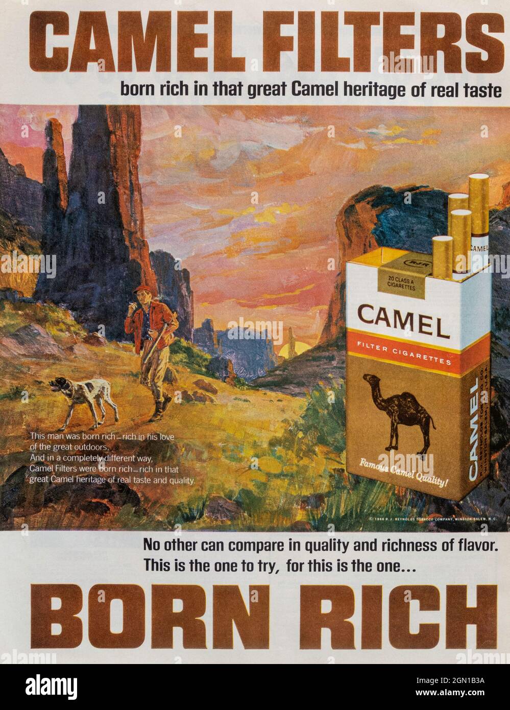 Camel Crush Ad
