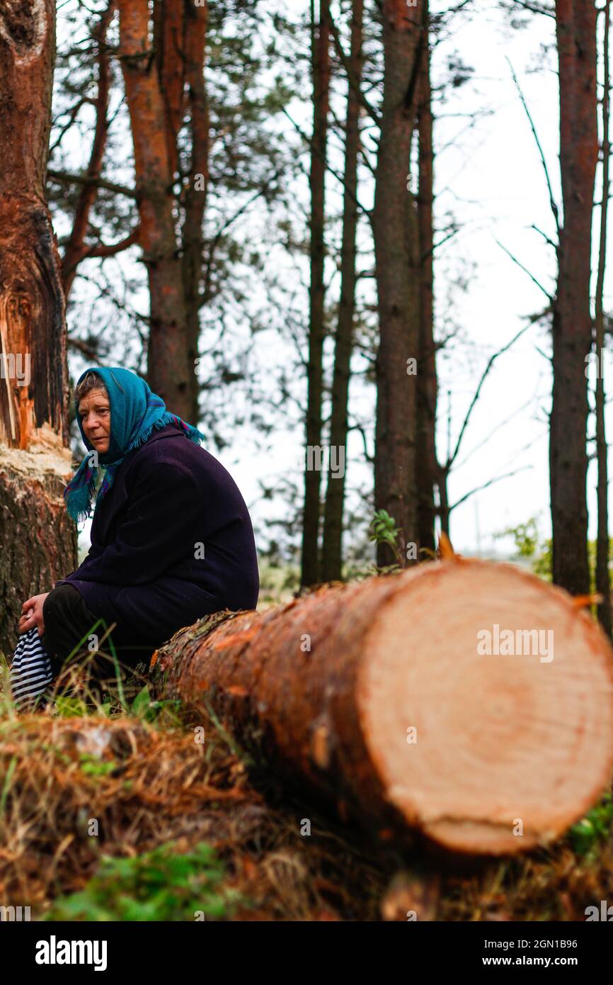 Cutting timber woman hi-res stock photography and images - Alamy