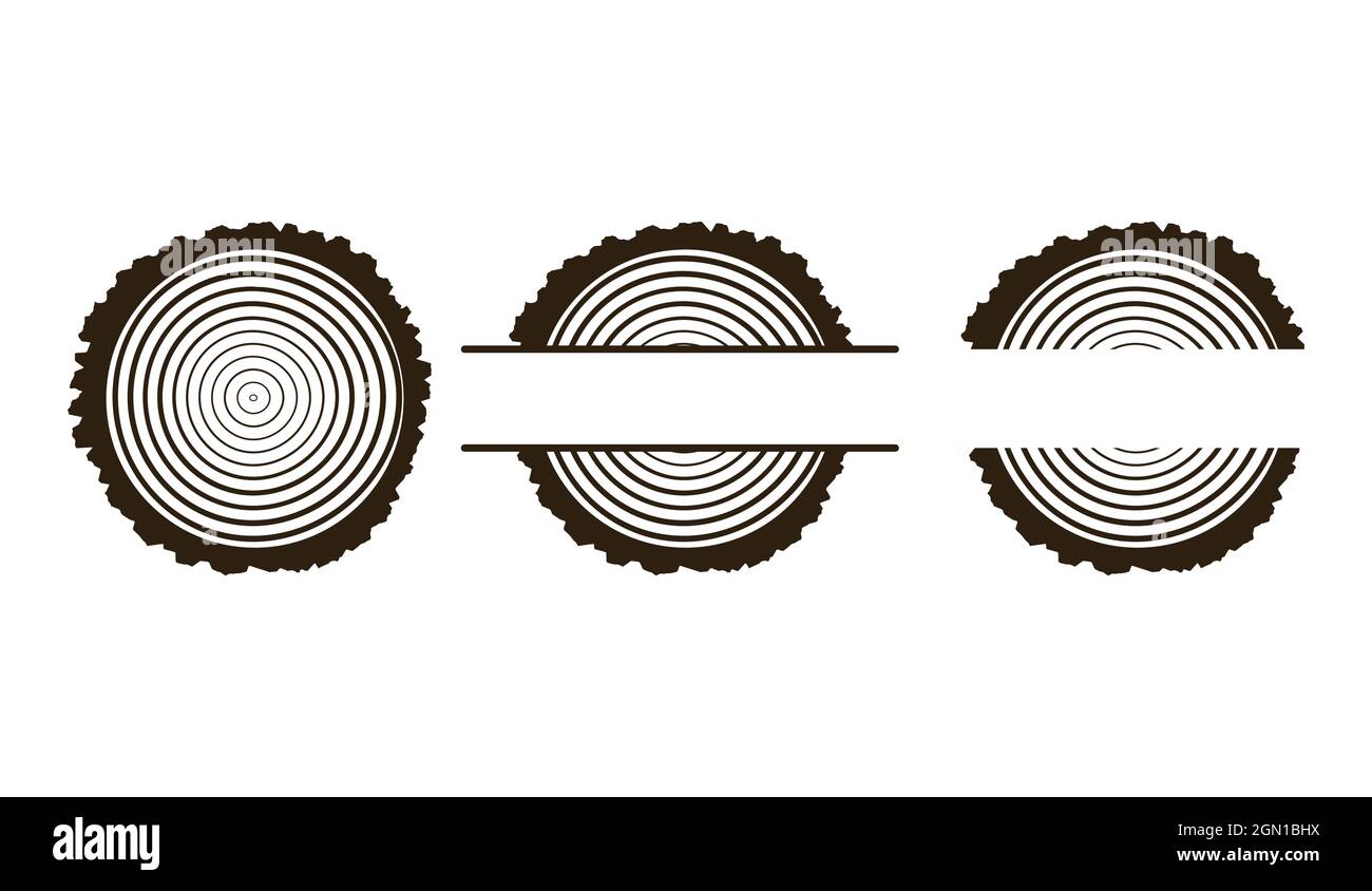 Tree Rings Annual Tree Rings . Saw cut tree trunk Tree growth rings ...