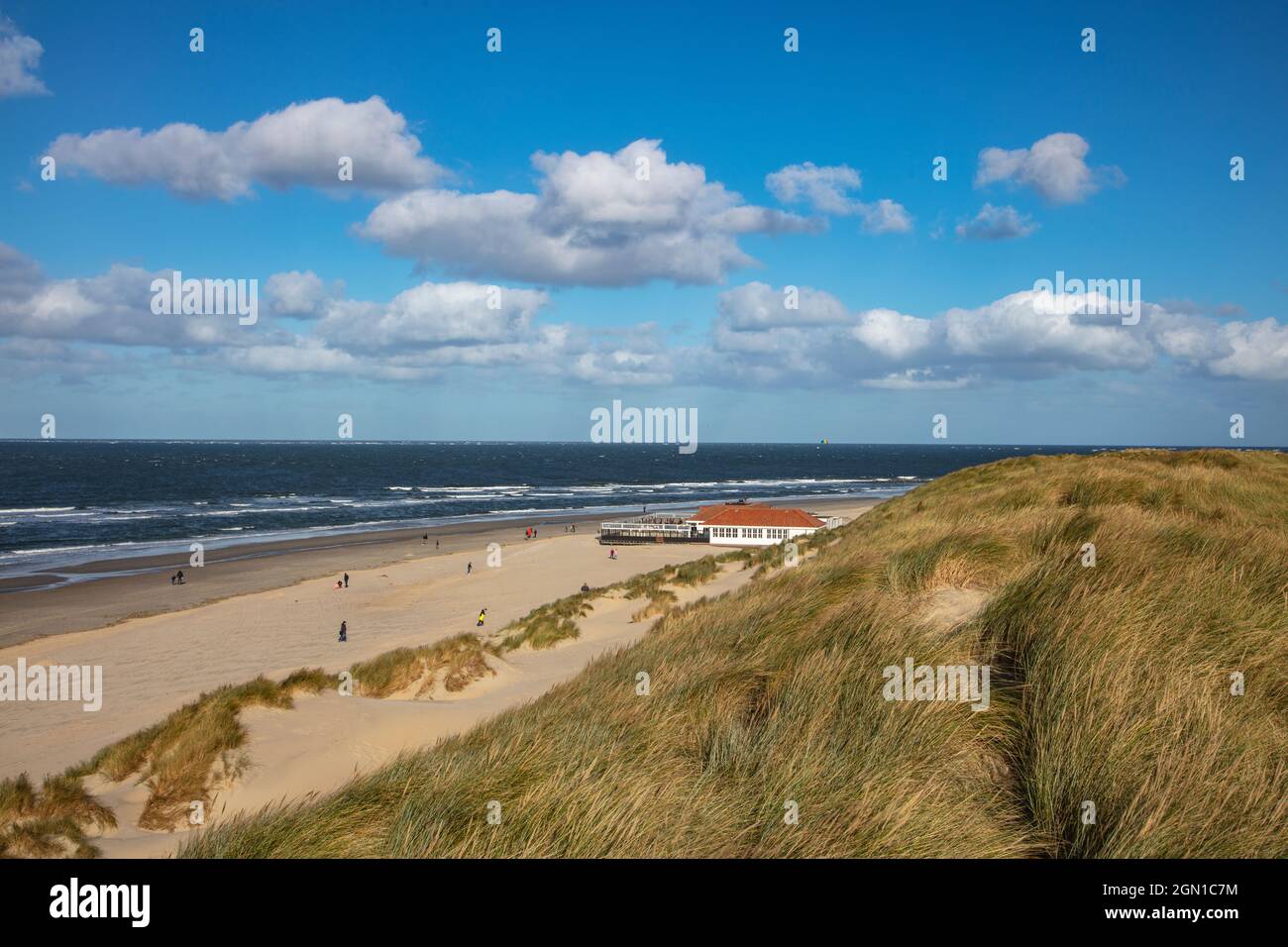 Grasses on sand dunes with beach club The Sunset and beach along the ...