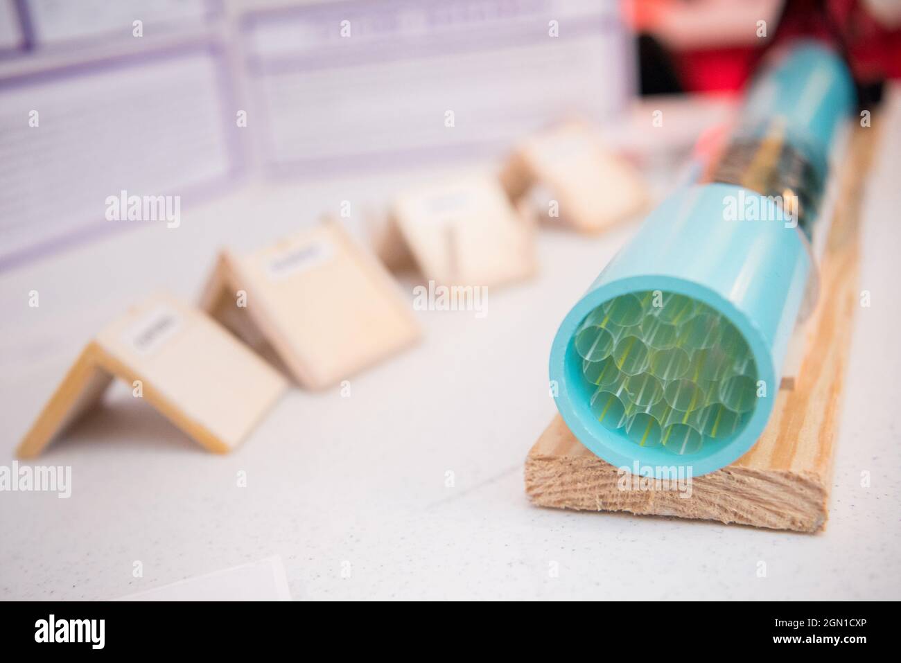 Exhibition of science project containing blue tube with green tubes ...