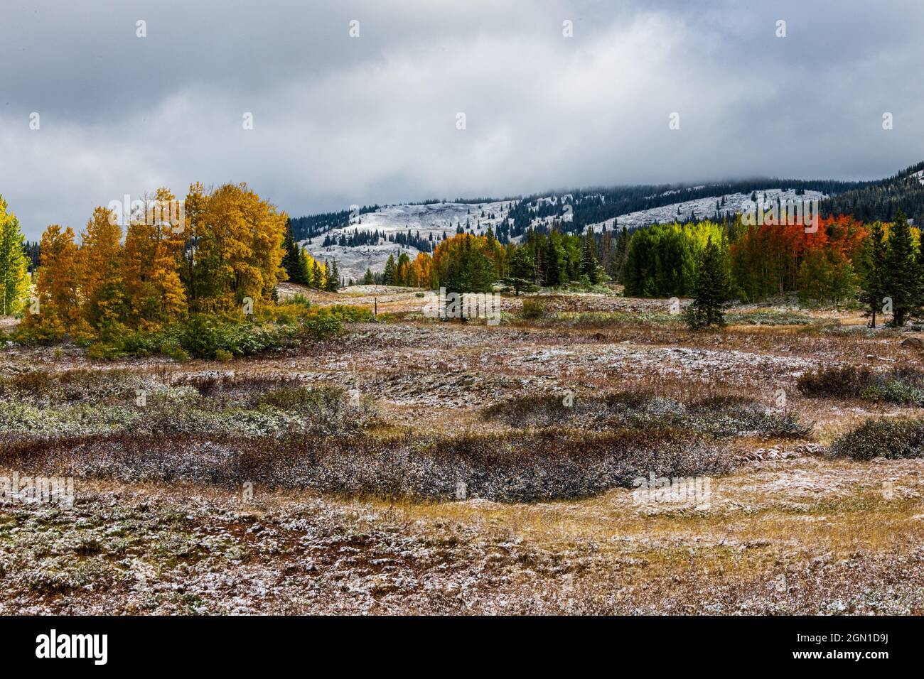 Early September snow with fall colors in the high country in Colorado ...