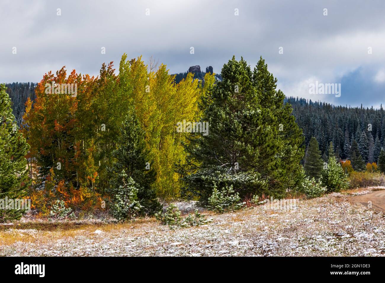 Early September snow with fall colors in the high country in Colorado ...