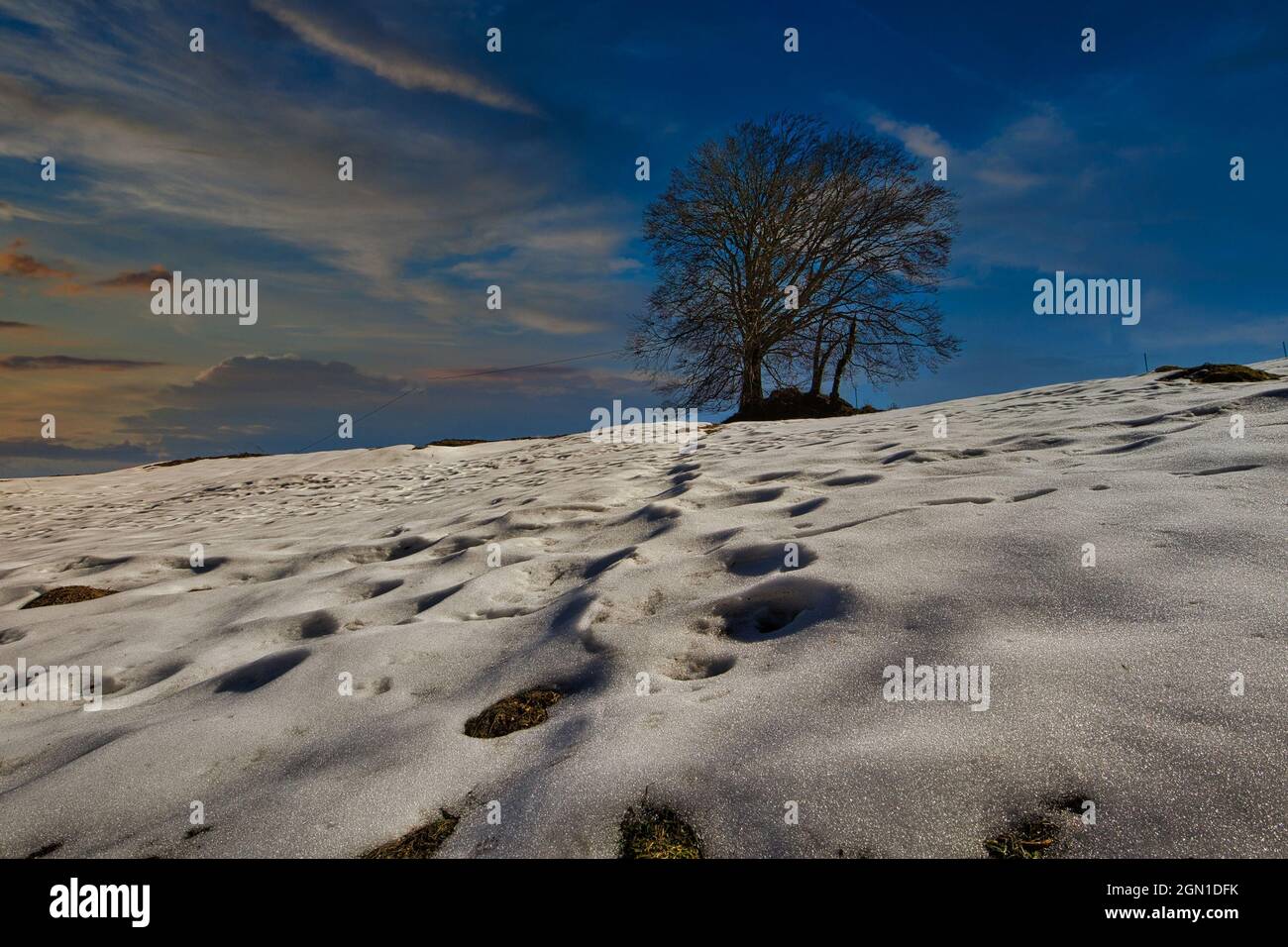 Field covered with snow in winter Stock Photo - Alamy