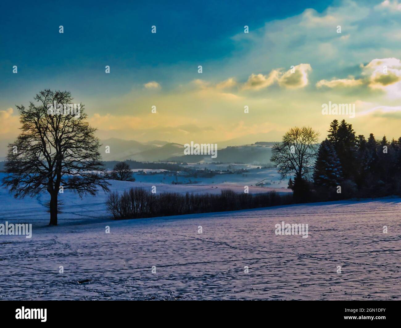 Field covered with snow in winter Stock Photo - Alamy