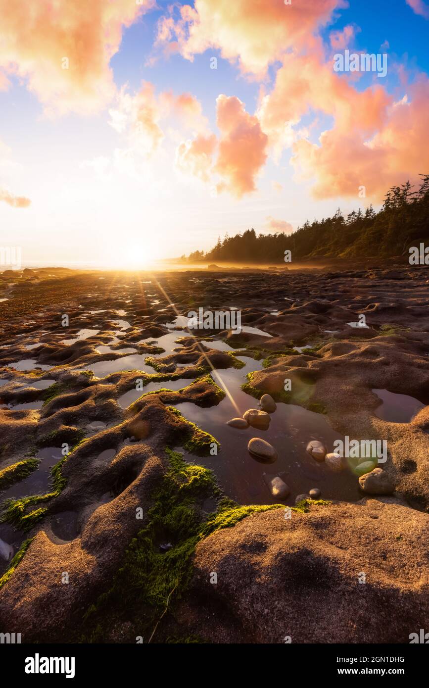 Botanical Beach on the West Coast of Pacific Ocean Stock Photo - Alamy
