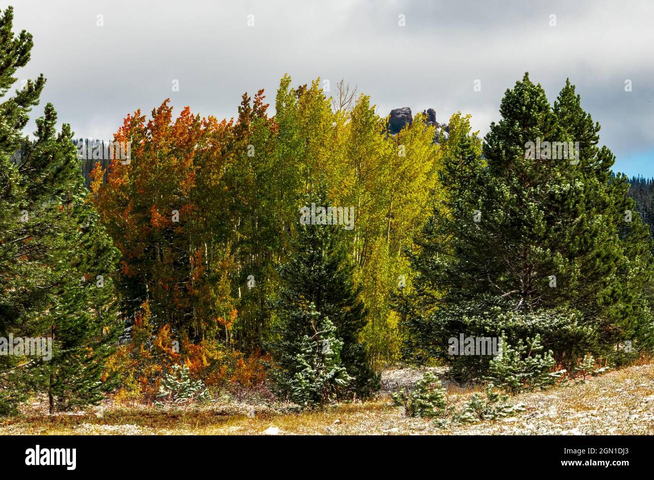 Fall colors in steamboat springs hi-res stock photography and images ...
