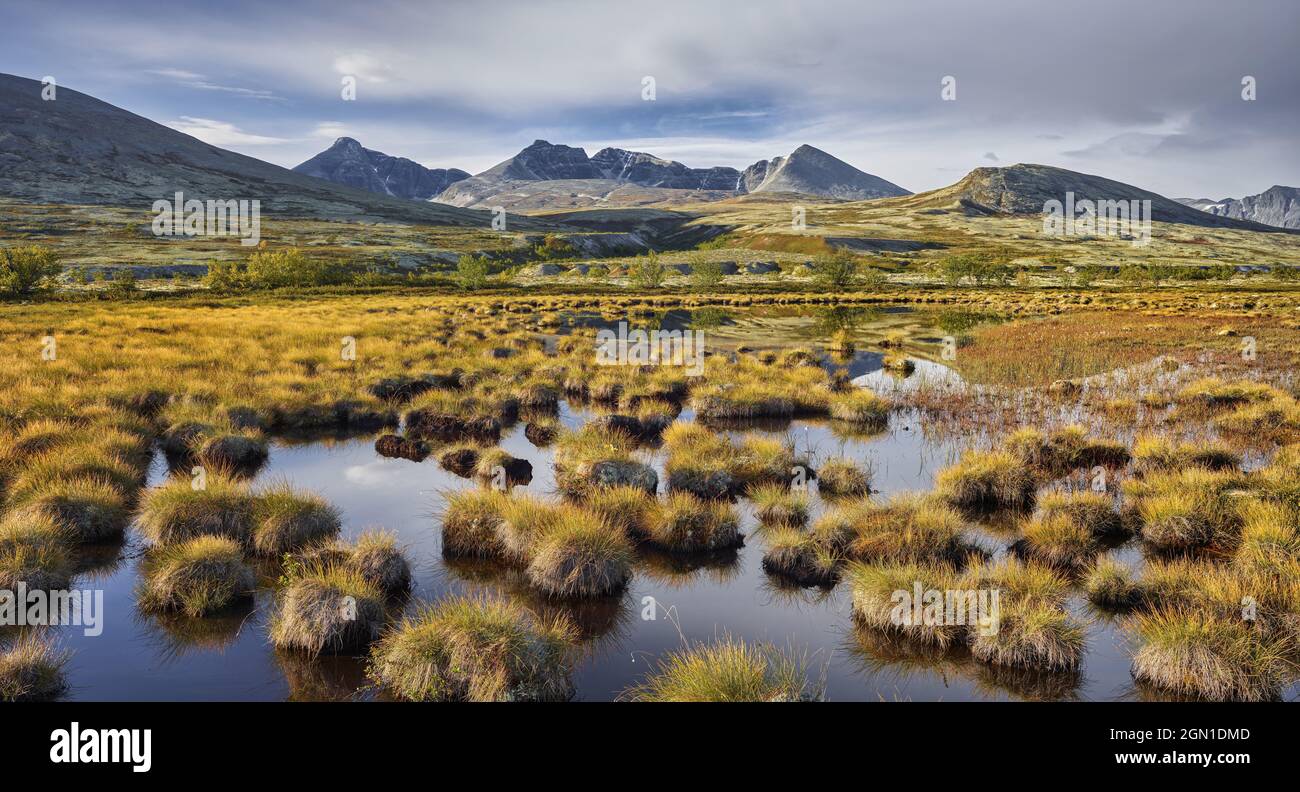 Swamp, pond, Högronden massif, Döralen, Rondane National Park, Oppland ...