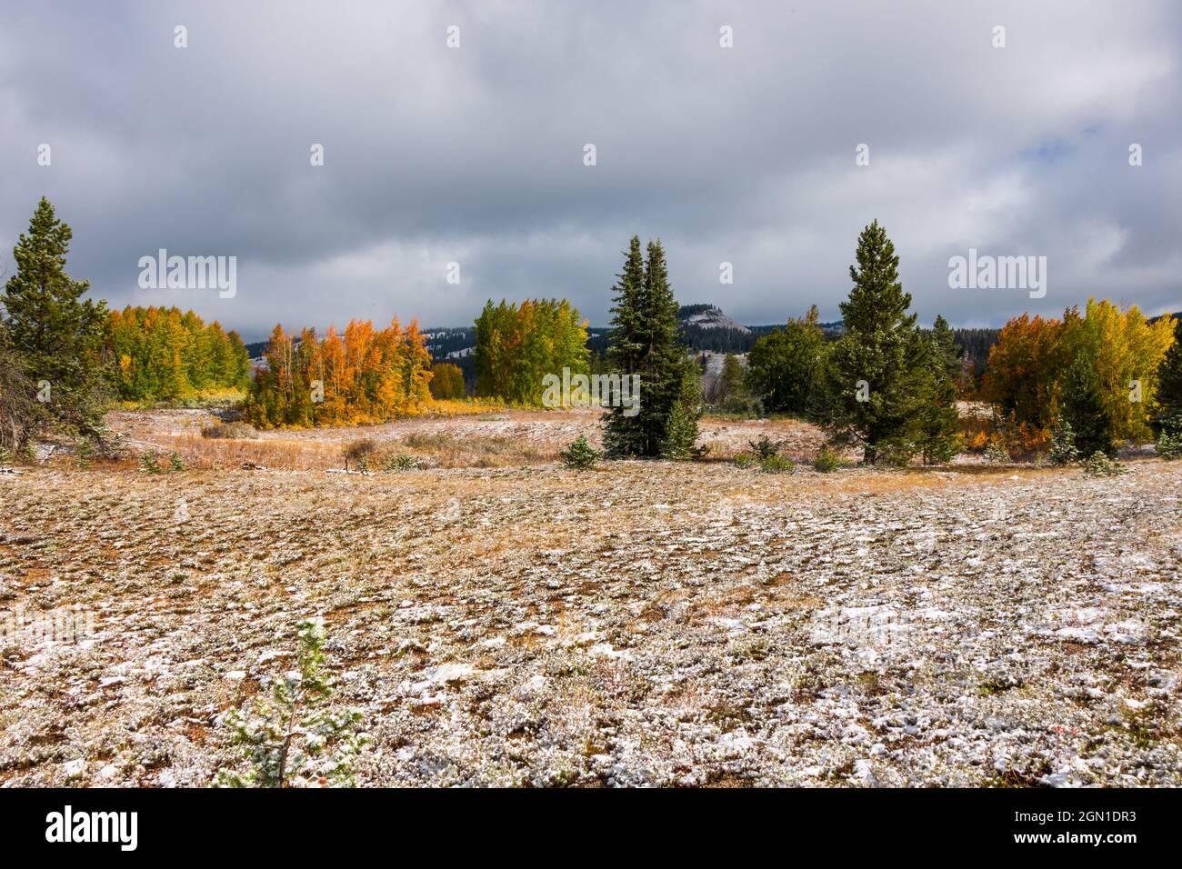 Fall colors in steamboat springs hi-res stock photography and images ...