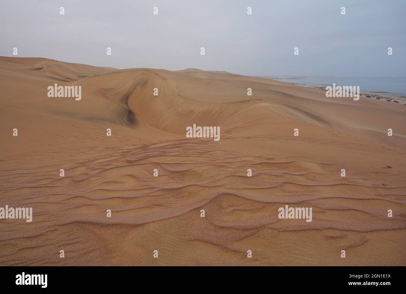 Angola; in the southern part of Namibe Province; northern part of the Namib Desert; Iona ...