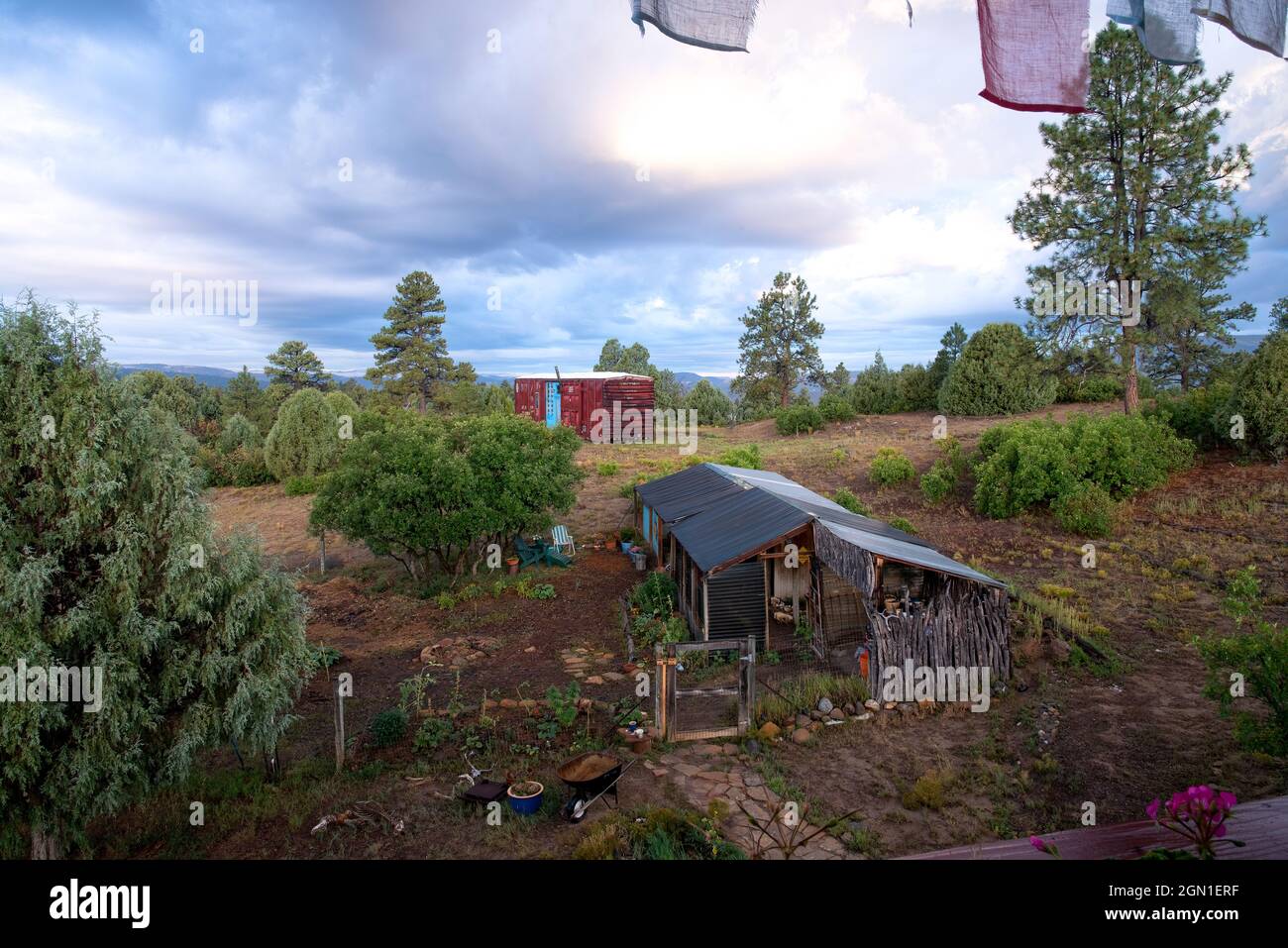 New mexico trees hi-res stock photography and images - Alamy