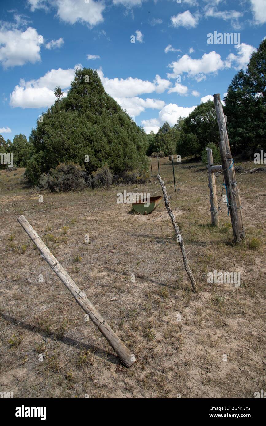Cedar fence posts hi-res stock photography and images - Alamy