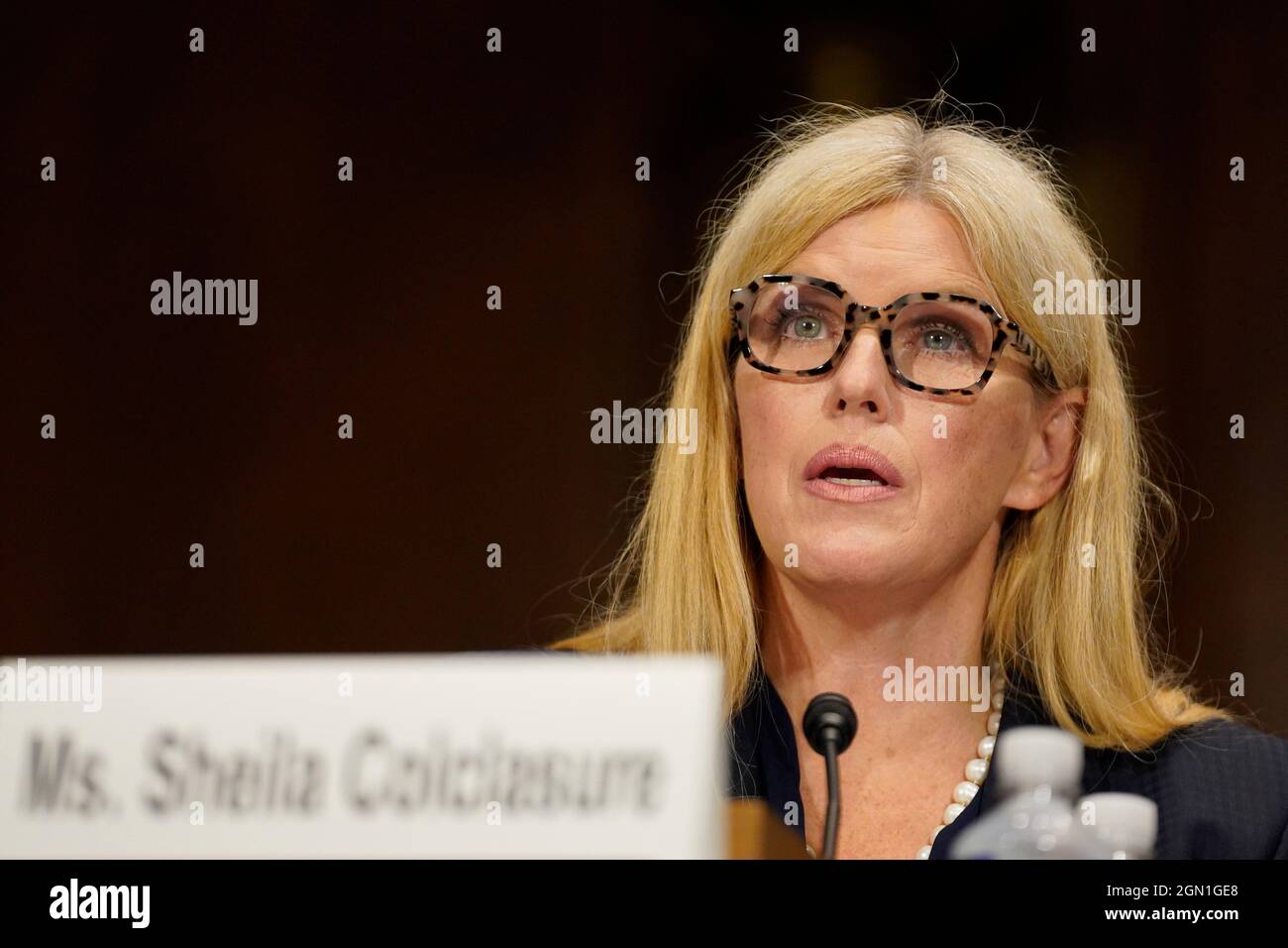Washington, Dc, USA. 21st Sep, 2021. Sheila Colclasure, global chief ...