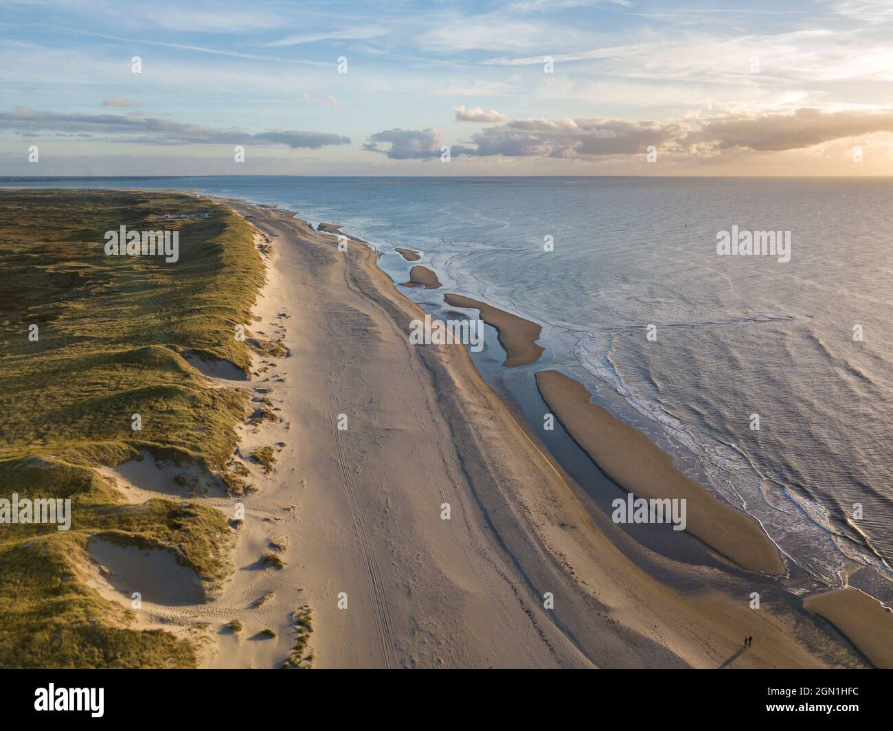 Aerial view of Westerduinen dunes, beach and North Sea coast, near Den ...