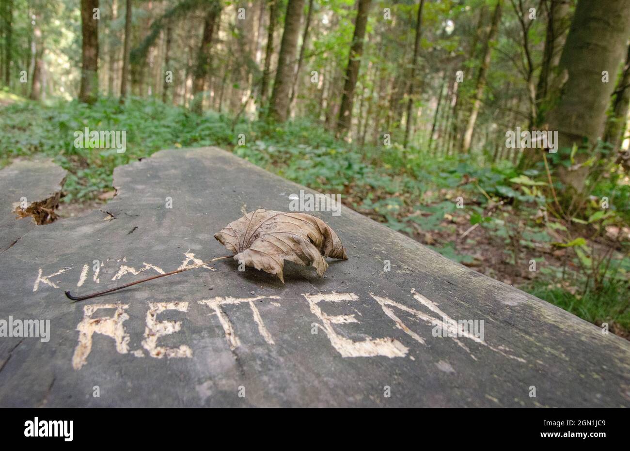 Klima retten hi-res stock photography and images - Alamy