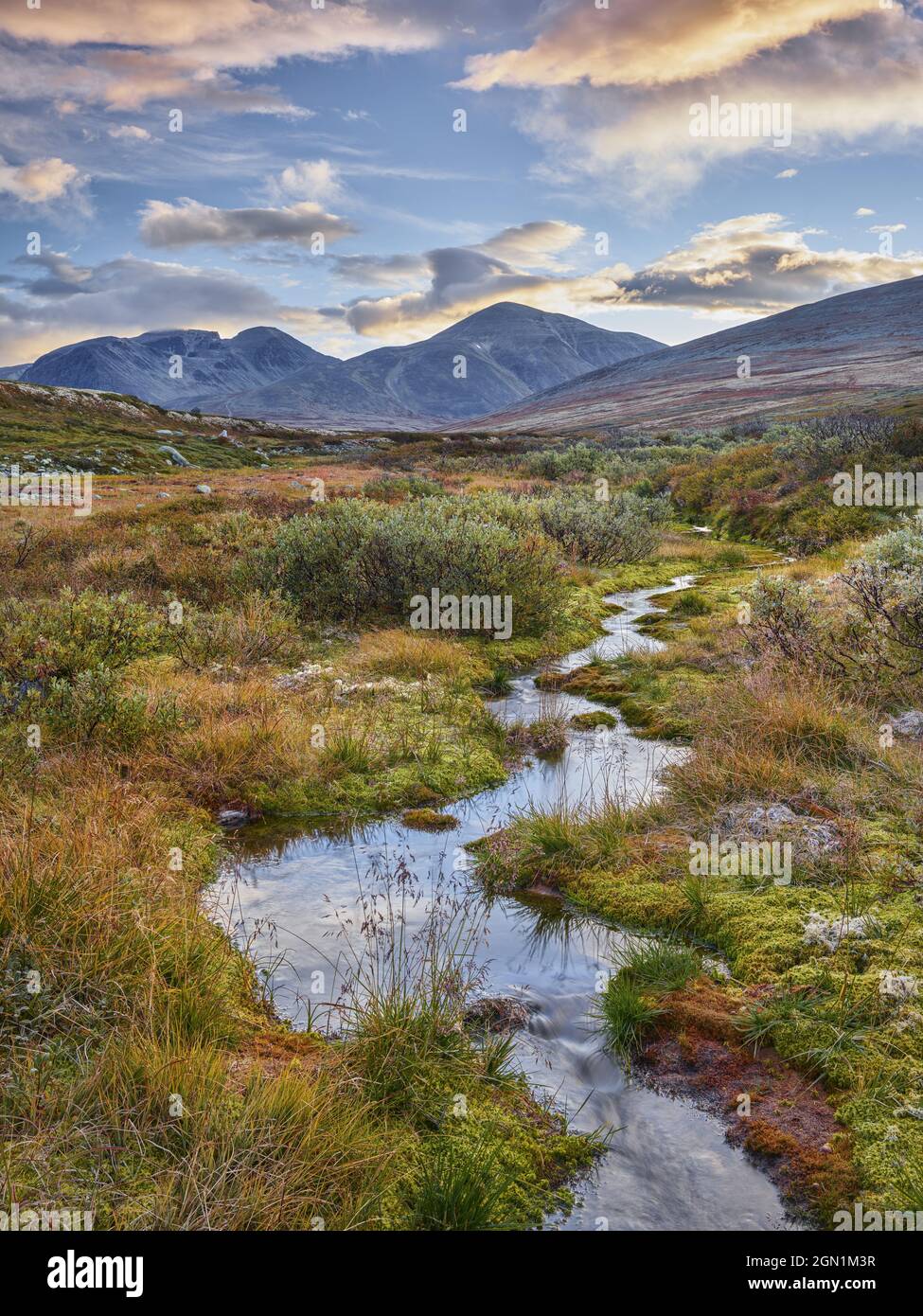 Rondslottet, Storronden, Rondane National Park, Oppland, Norway Stock ...