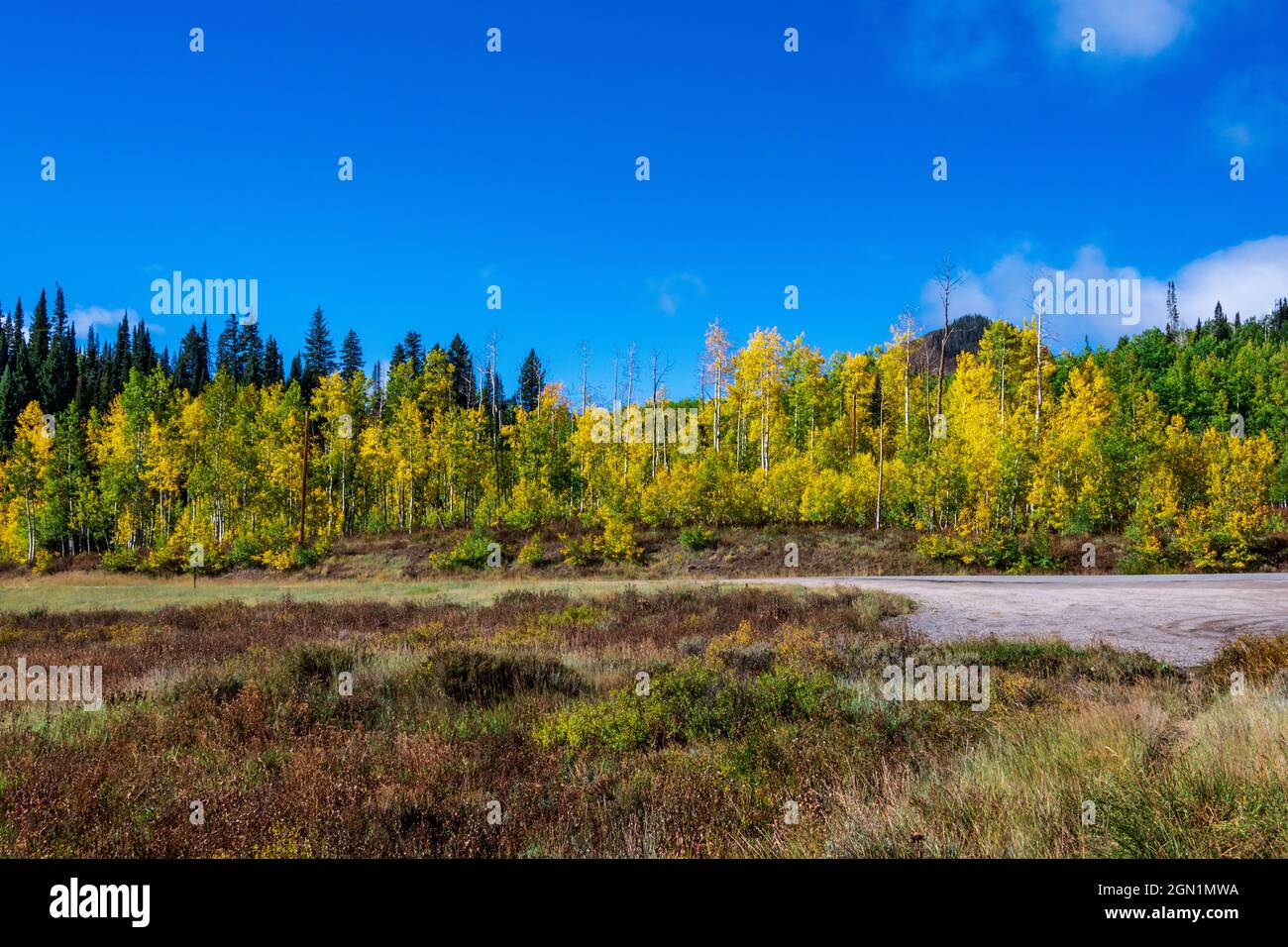 Muddy Pass Lake surrounded by Autumn colors of orange and yellow Stock ...