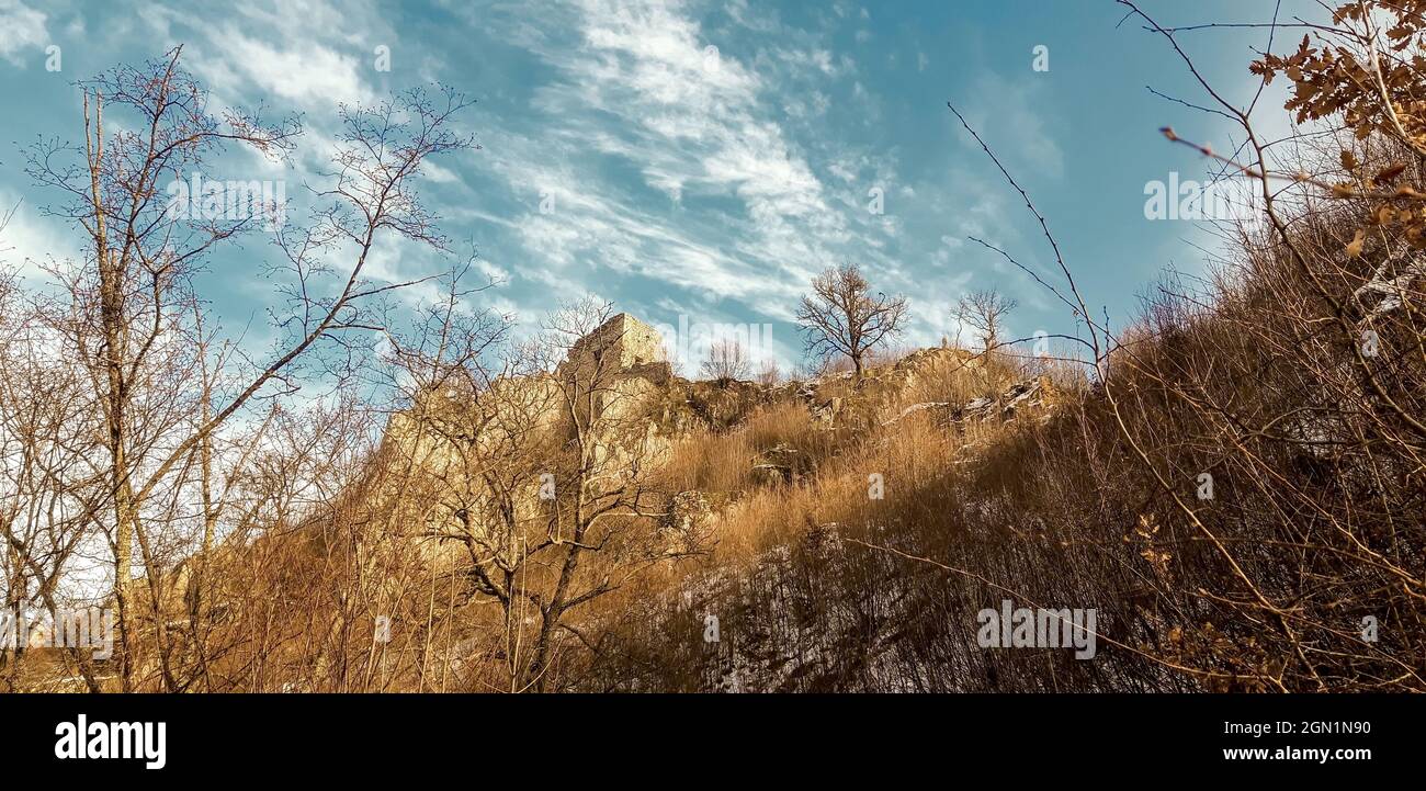Eerie scenery of a mountain with dry trees at fall, low-angle shot ...